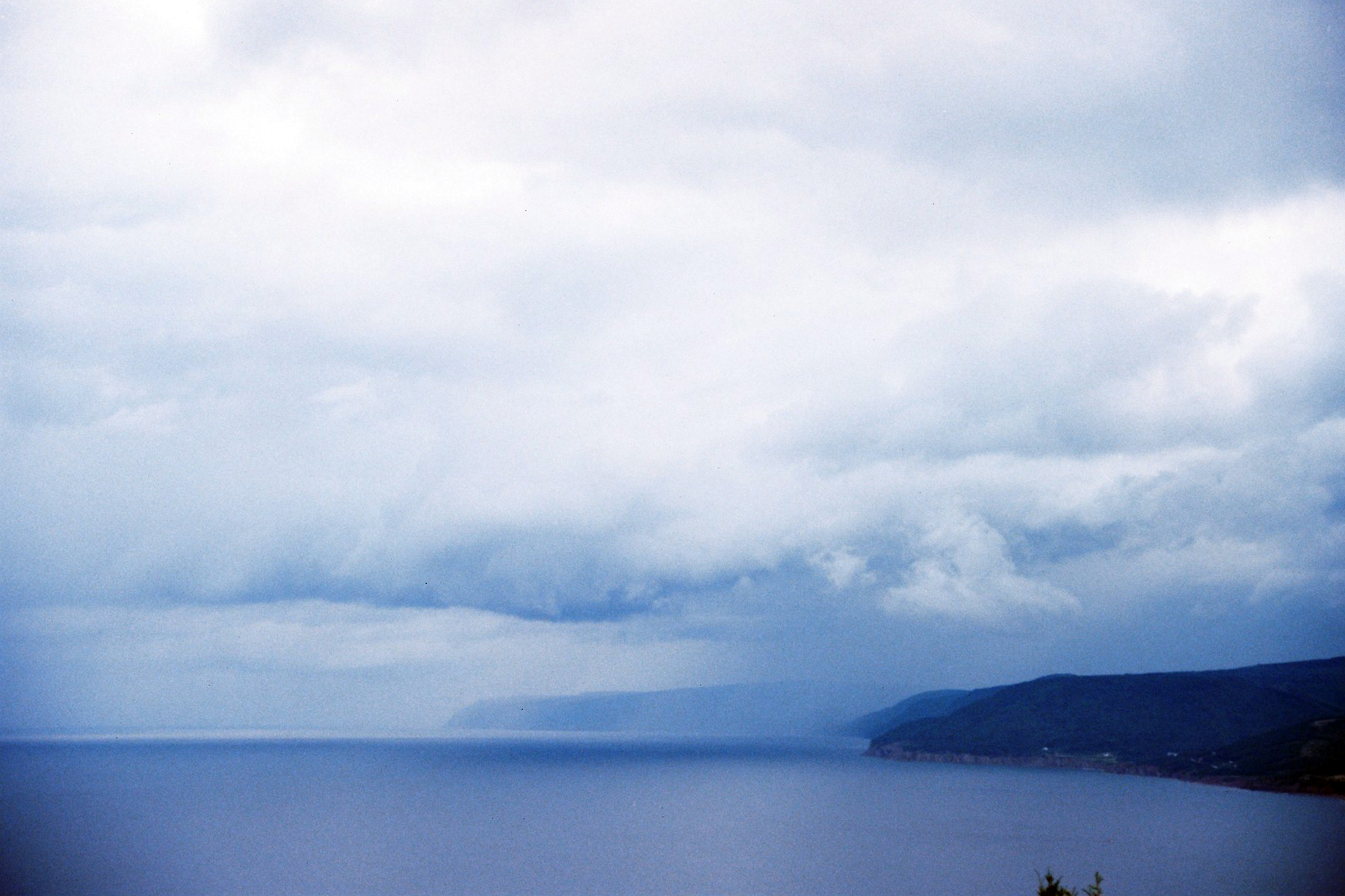 Teaching Nibi – Nibi Portal